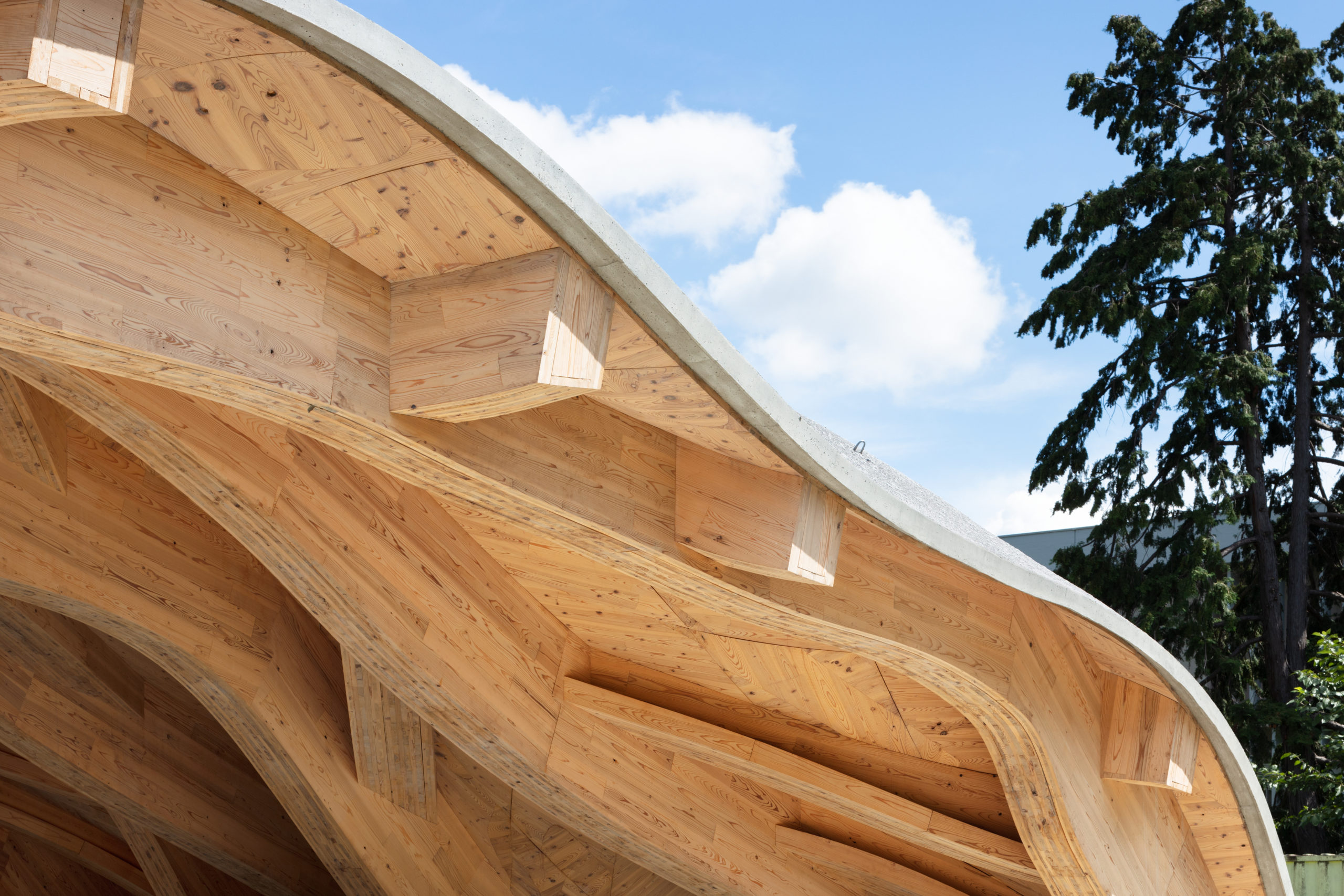 学ぶ、学び舎 – VUILD ARCHITECTS